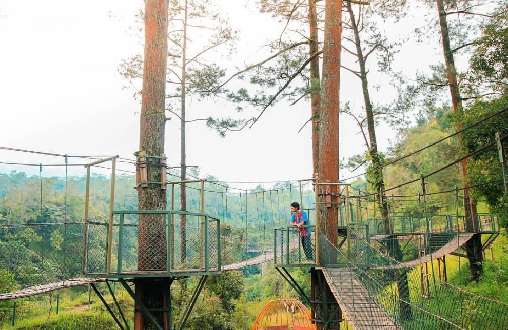 Wisata Plunyon Kalikuning Lokasi Syuting Film KKN