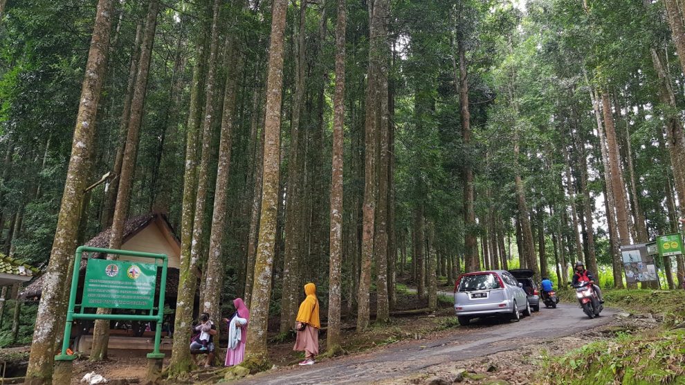 Review Cidahu Camping Ground : Lokasi dan Harga Tiket
