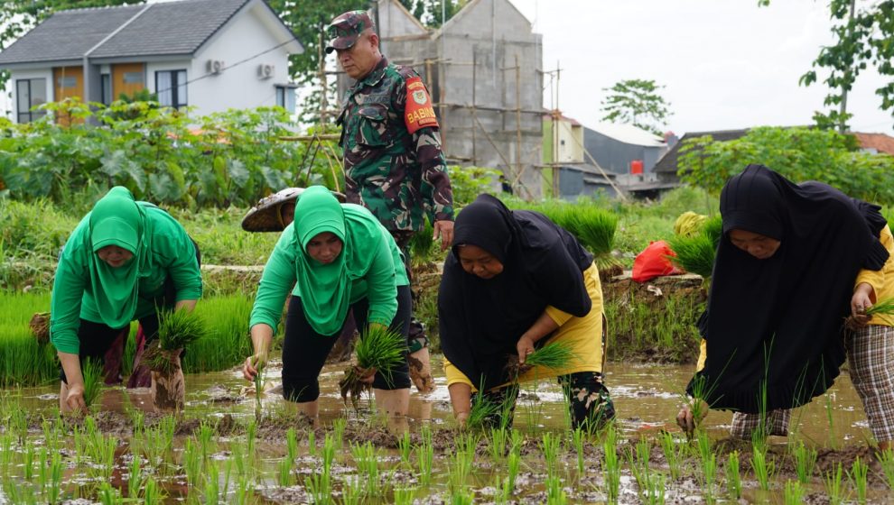 Dongkrak Program Bios 44, Peltu Asep Saripudin Turut Monitoring