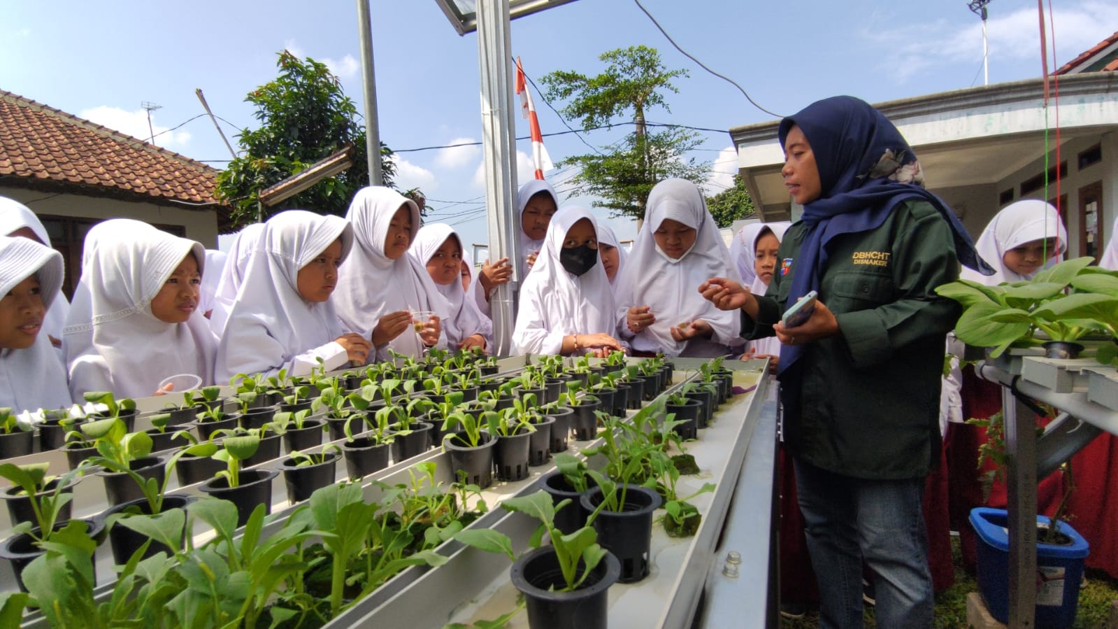 Siswa SD Diajari Cara Bercocok Tanam dengan Hidroponik