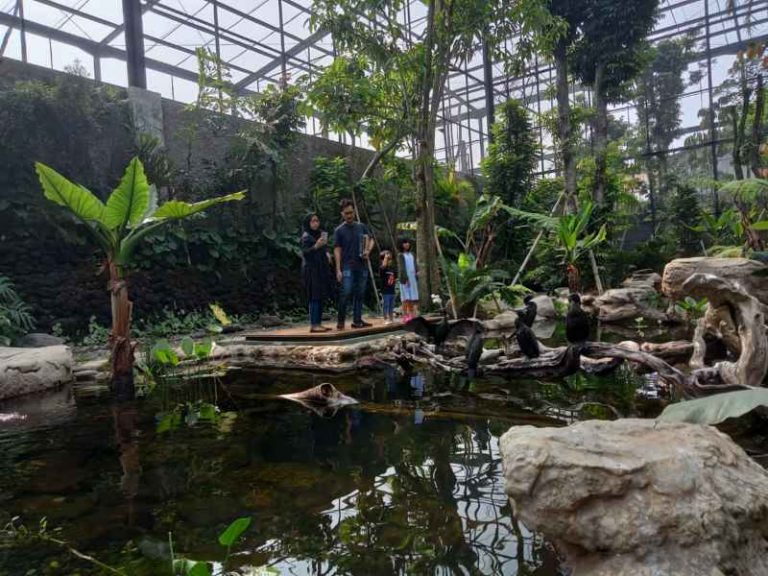 Reviews Animalium Brin, Pusat Wisata Edukasi Hewan Pertama di Indonesia