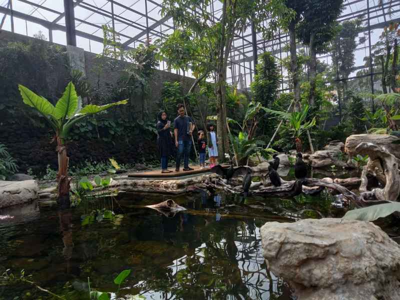 Reviews Animalium Brin, Pusat Wisata Edukasi Hewan Pertama di Indonesia