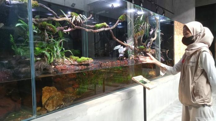 Reviews Animalium Brin, Pusat Wisata Edukasi Hewan Pertama di Indonesia