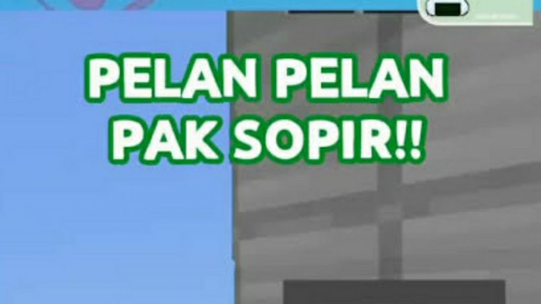 Pelan Pelan Pak Sopir Maksudnya Apa? Ini Makna Istilah di Tiktok yang ...